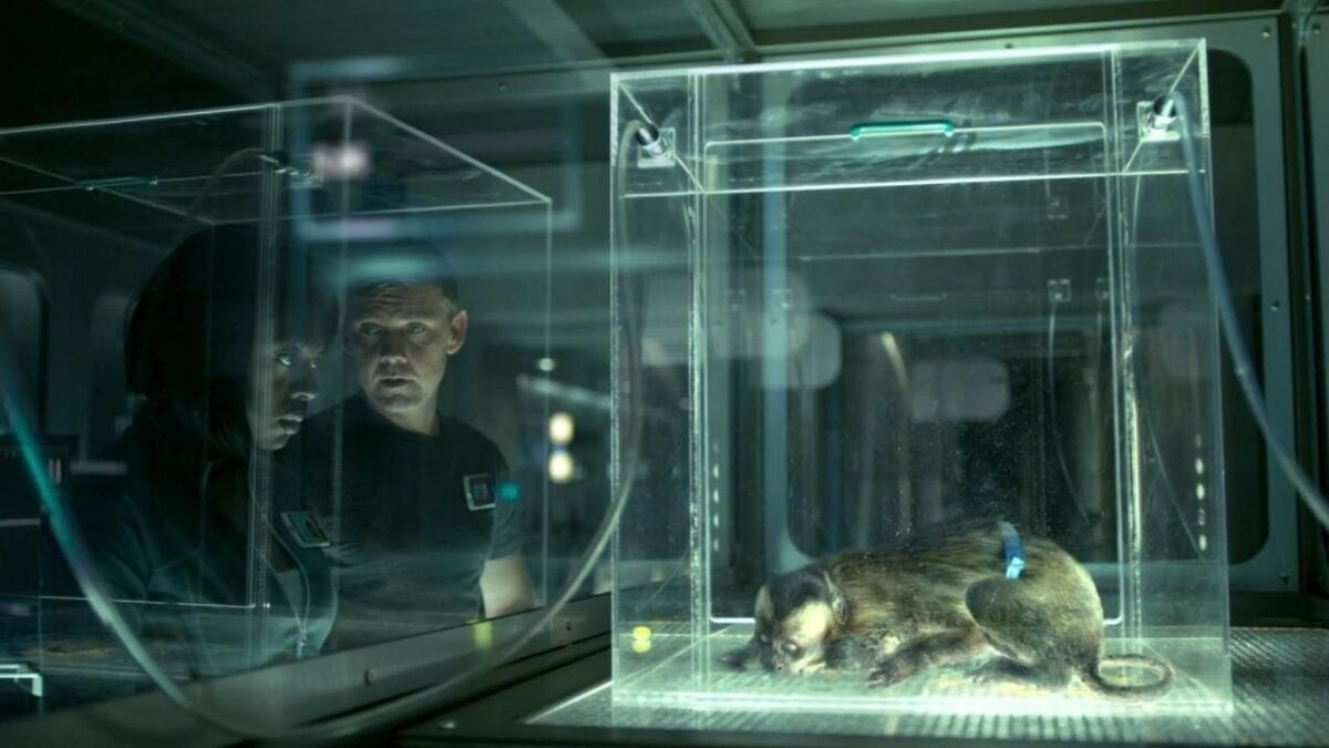 Вирус Андромеда (The Andromeda Strain) - Фантастика - Триллеры ...